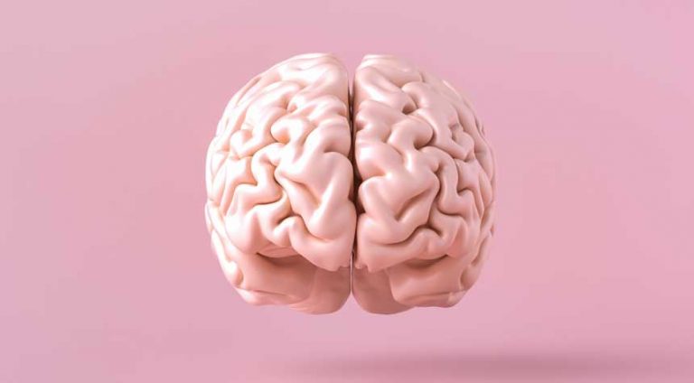 Eating Right For Sharper Memory And Focus, And What Not To Eat - FCP ...