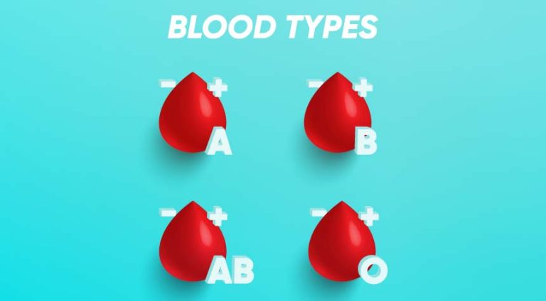 Blood Types: What Do They Mean For Your Health? - FCP Live-In